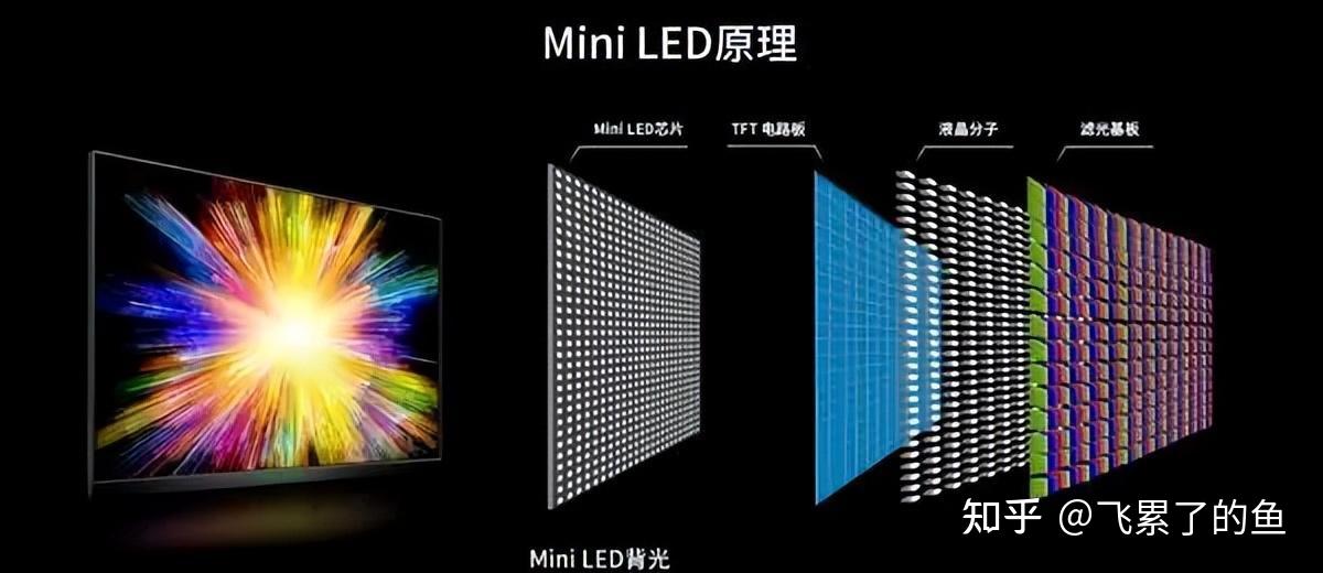 4K 显示器 OLED、MiniLED、Nano IPS 有什么区别，应该怎么选？ - 知乎