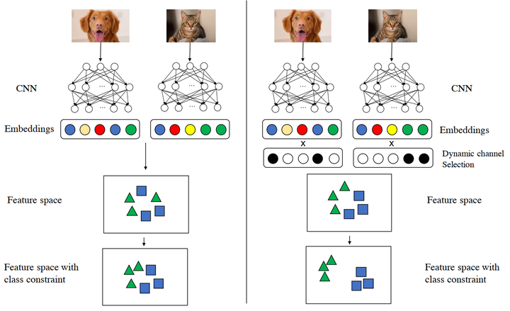 ICPR 2020 | CC-Loss：用于图像分类的通道相关损失函数 - 知乎