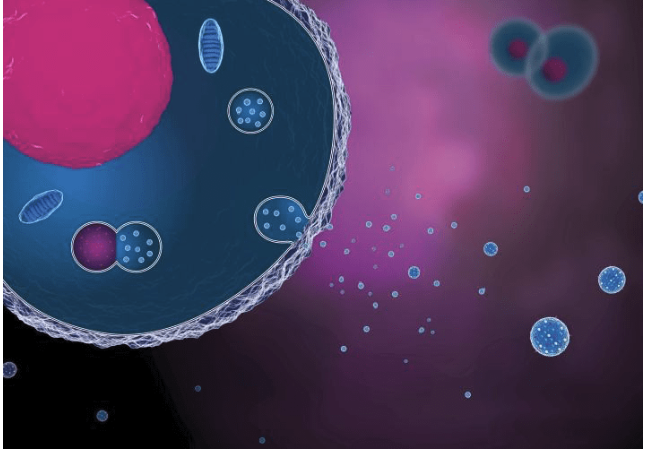 外泌体的介绍以及产生的作用都有哪些呢？ - 知乎