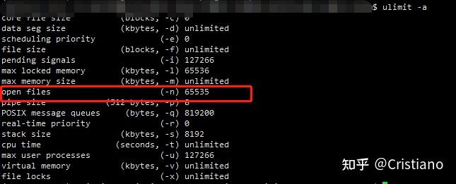 linux系统 too many open files解决方法 - 知乎