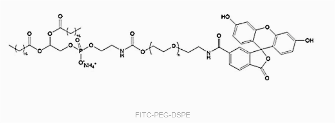 DSPE-SS-PEG2k-FITC，磷脂双硫键聚乙二醇荧光素，DSPE-SS-PEG-FITC - 知乎
