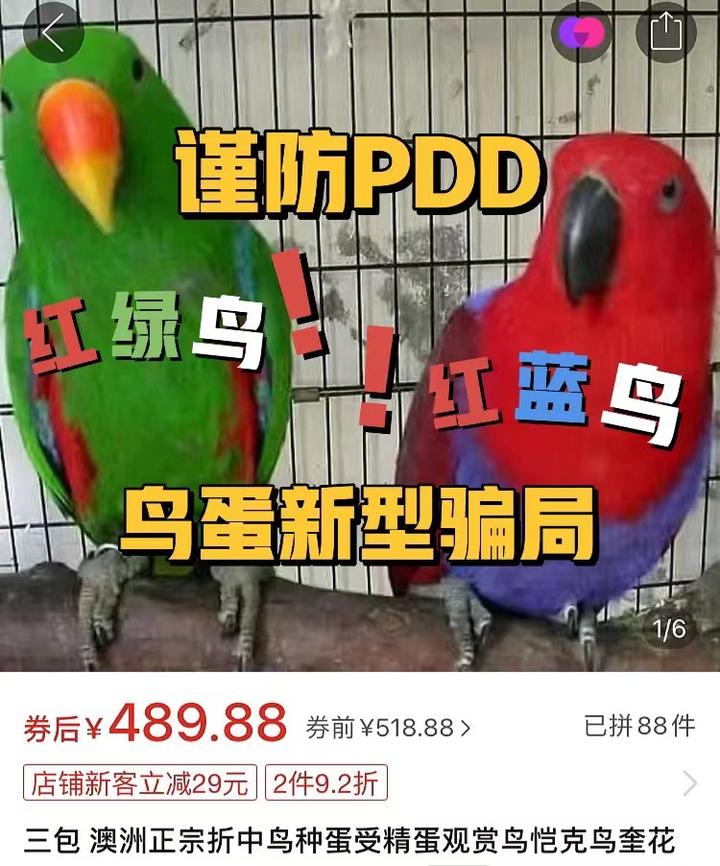 警惕PDD新型鸟蛋骗局 - 知乎