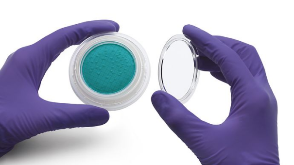 微生物实验中的CFU是什么意思？ - 知乎