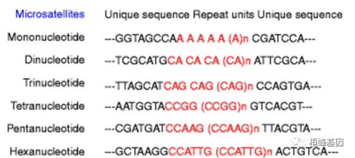DNA 14. SCI 文章肿瘤微卫星不稳定性计算方法（MSI） - 知乎