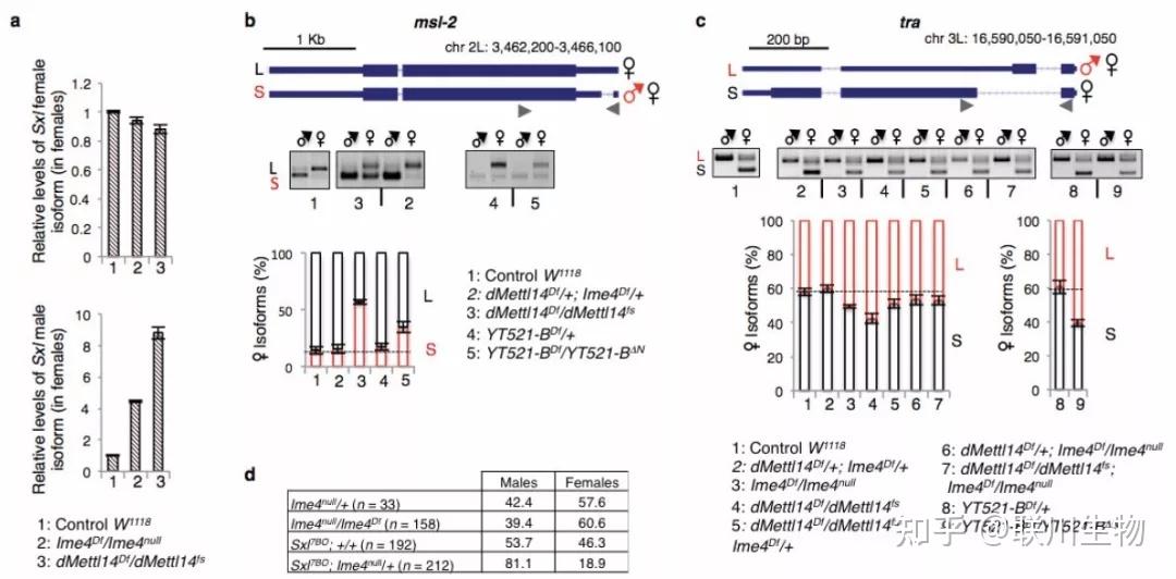 手把手教你如何开展m6A实验（医学版）| m6A专题 - 知乎