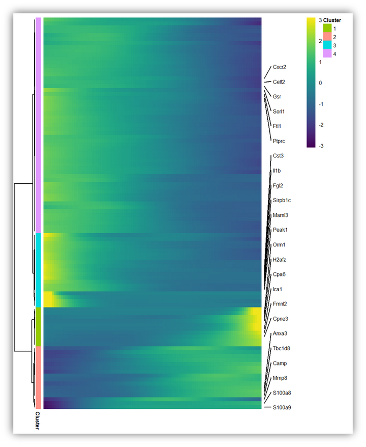 Monocle2拟时基因富集分析 - 知乎