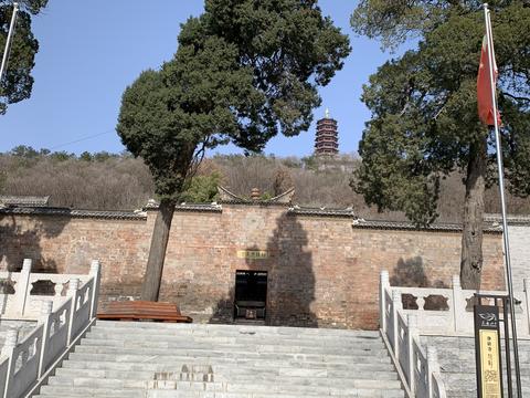 LLM(12)：DeepSpeed Inference 在 LLM 推理上的优化探究 - 知乎