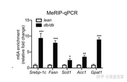 技术贴 | RNA甲基化修饰m6A的检测——MeRIP-seq - 知乎