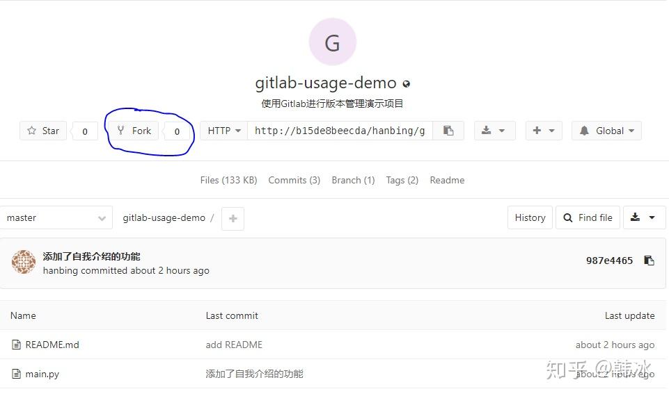 公司使用Gitlab管理项目实践指南 - 知乎