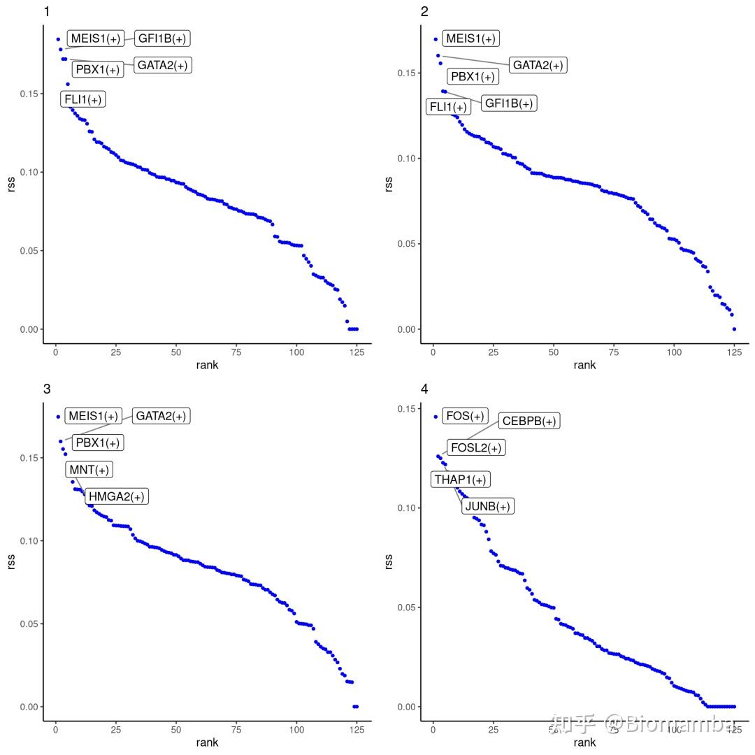 非模式物种PySCENIC分析流程 - 知乎