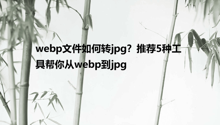 webp文件如何转jpg？推荐5种工具帮你从webp到jpg - 知乎