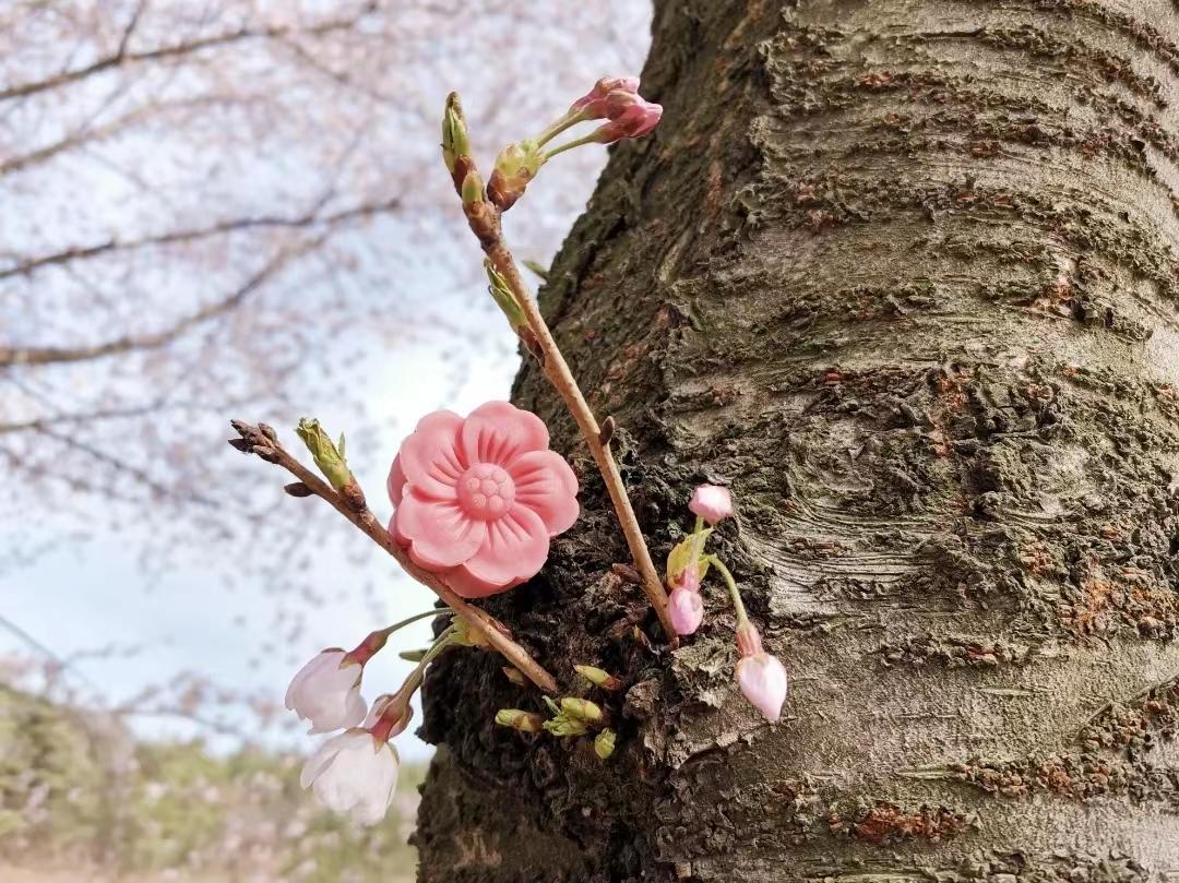 气象热力图[T-lnP][Emagram][Skew]原理及Python绘制基础过程 - 知乎