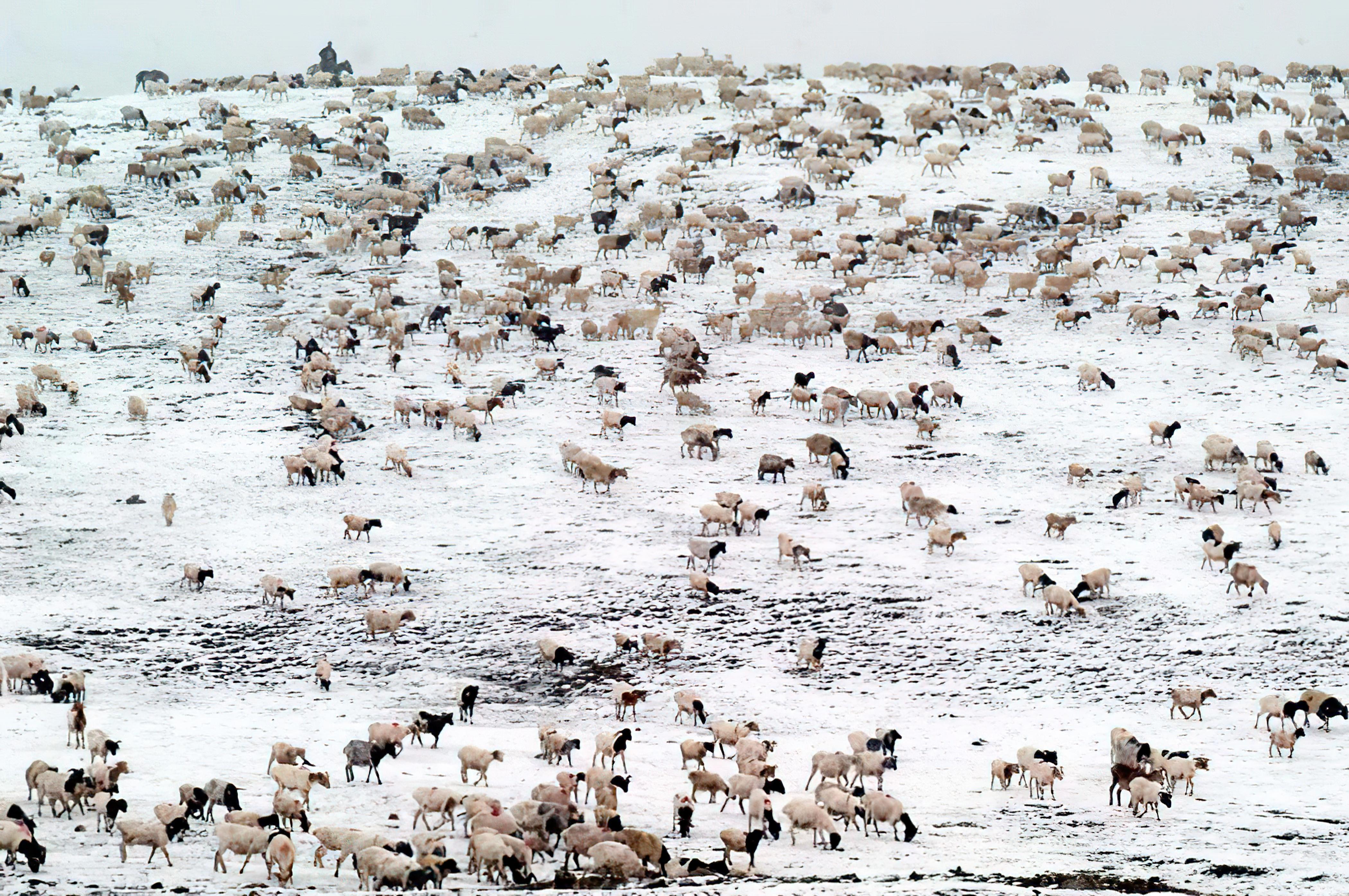 [UCB CS61C][Lab 4: RISC-V Functions, Pointers][RISC-V中的函数和指针] - 知乎