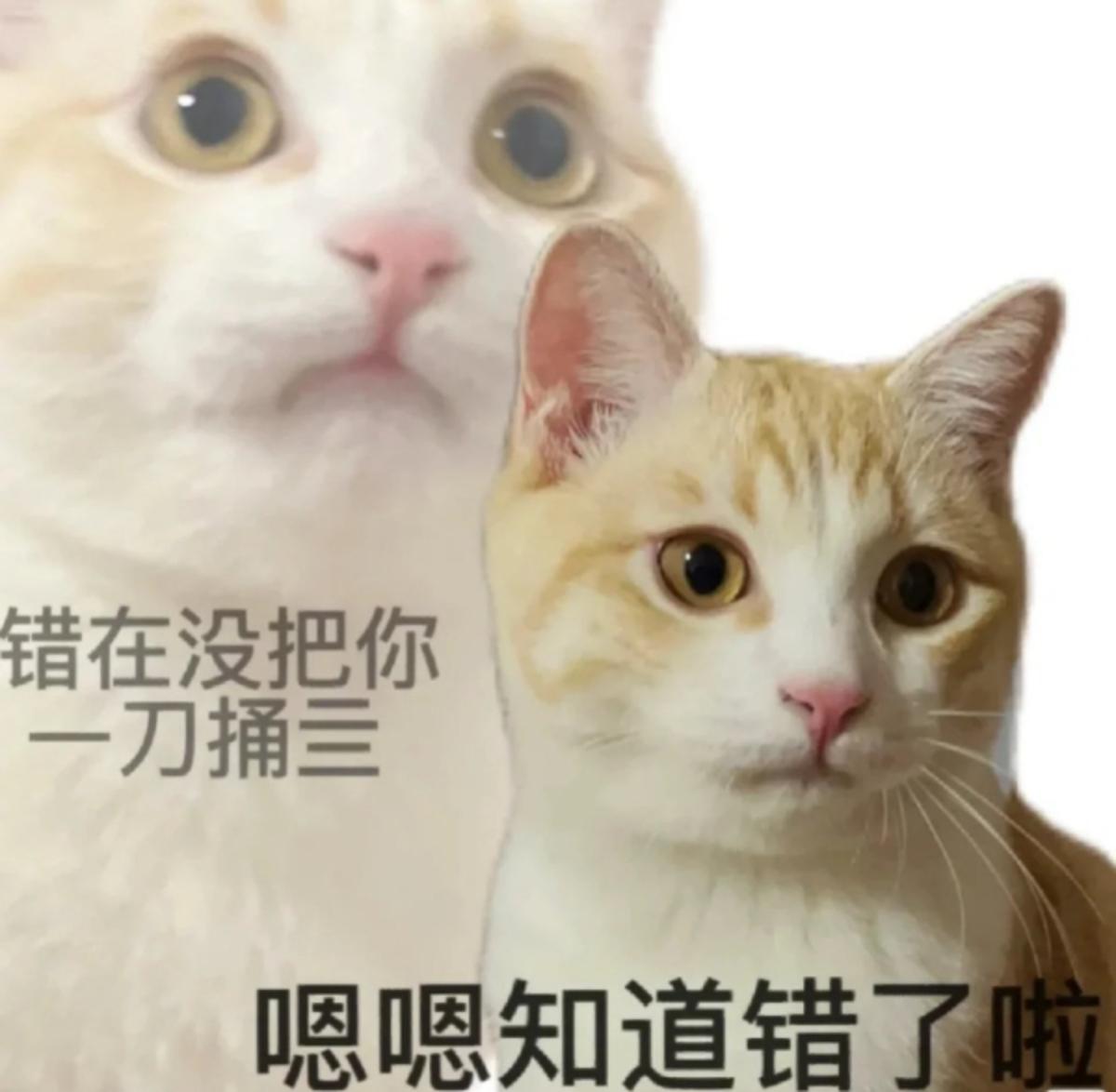 友友们，有没有发疯发癫的表情包? - 知乎