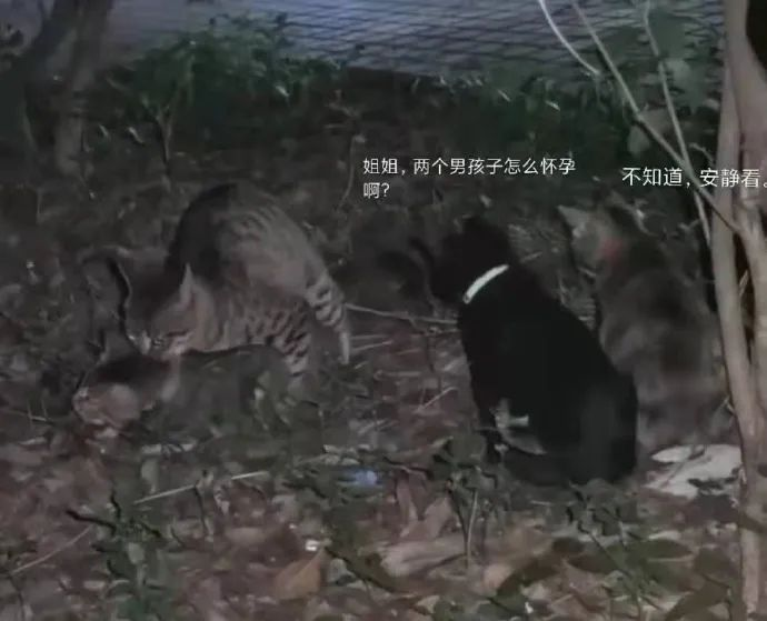 有什么搞笑的笑话？ - 知乎