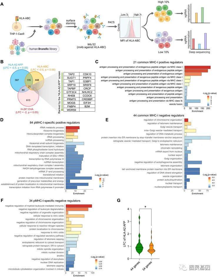 Cell | 纽约大学王俊教授揭示癌症免疫逃避机制，为冷肿瘤治疗提供新的思路和靶点 - 知乎
