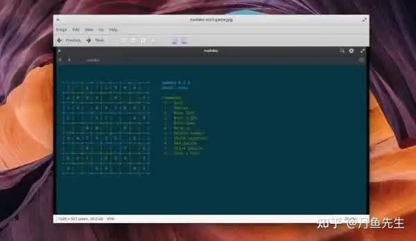 【干货】适用于 Linux 系统的 11 款图像查看器 - 知乎