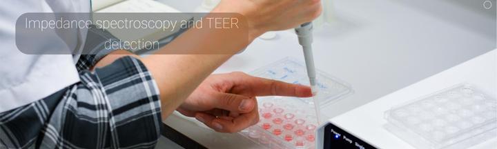 Locsense 实时无标记跨膜电阻分析仪（简便TEER检测） - 知乎