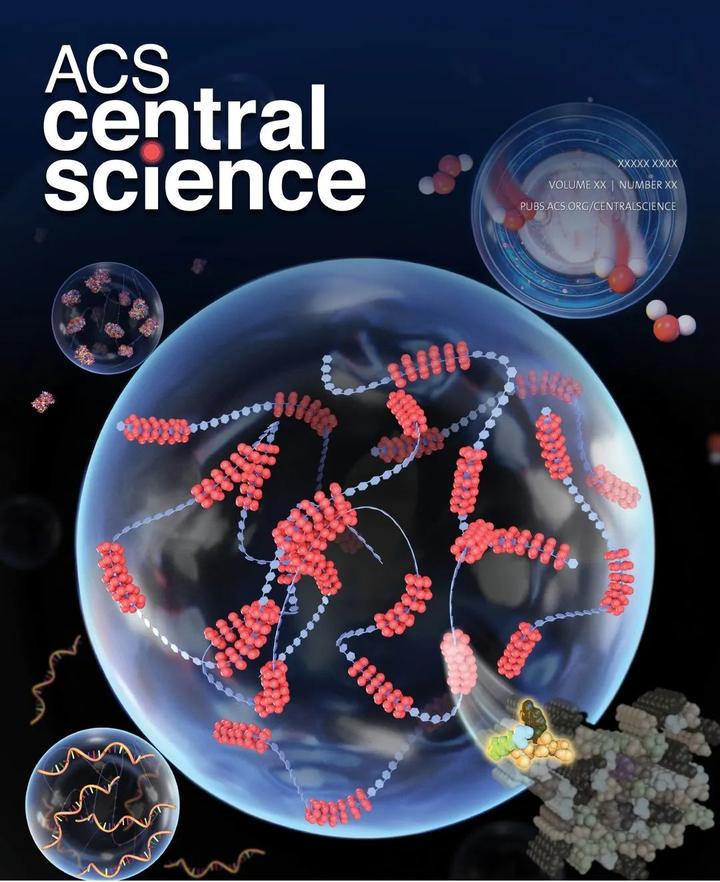 ACS Central Science: 香港科技大学周迎教授团队: 人工无膜细胞器的“极简主义”设计 - 知乎