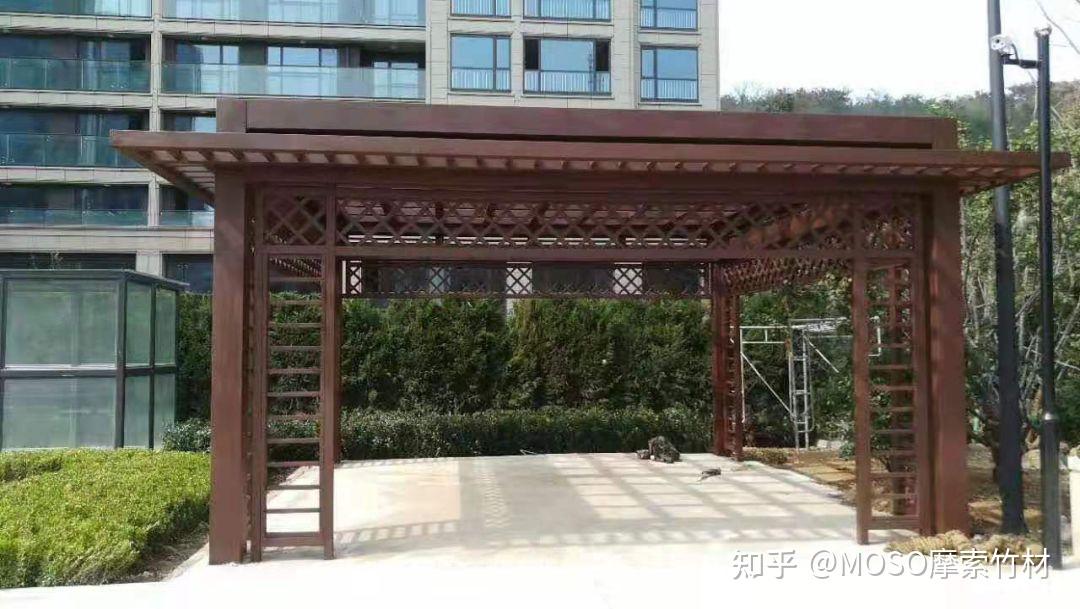 影响世界的植物 · MOSO BAMBOO - 知乎