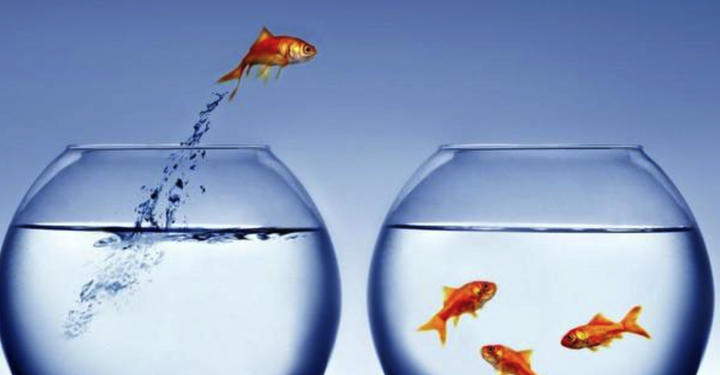 在职期间要不要去面试别的工作？·See Moo专业就业指导 - 知乎