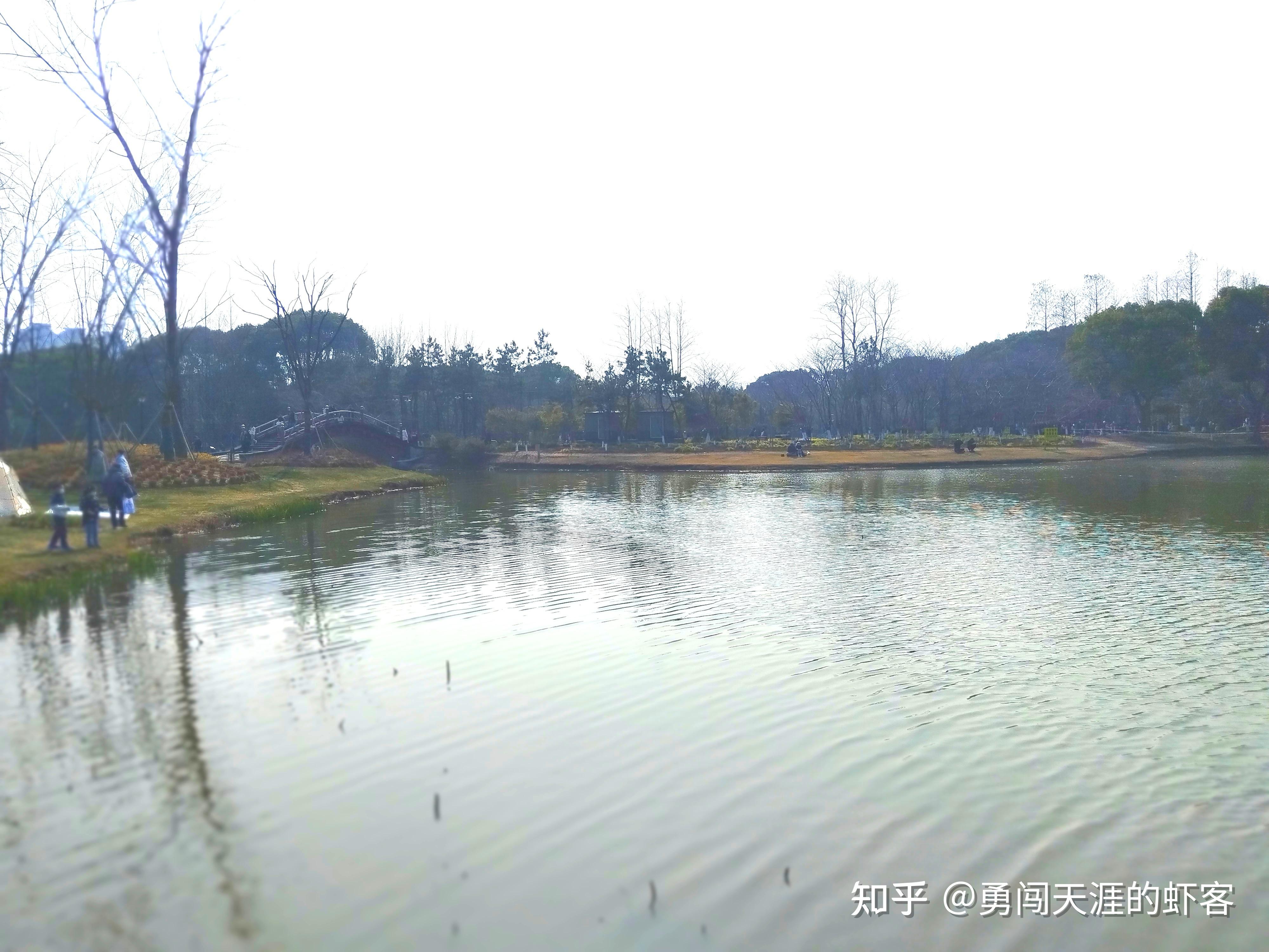 KimiAI搜索之制药行业里的CoA,CoC和CoT? - 知乎