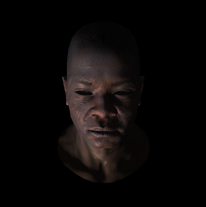 从零开始的TinyRenderer(6)——着色（光照模型） - 知乎