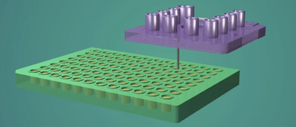 LabChip GXII Touch：高效精准的mRNA质量分析解决方案-上海玮驰仪器有限公司