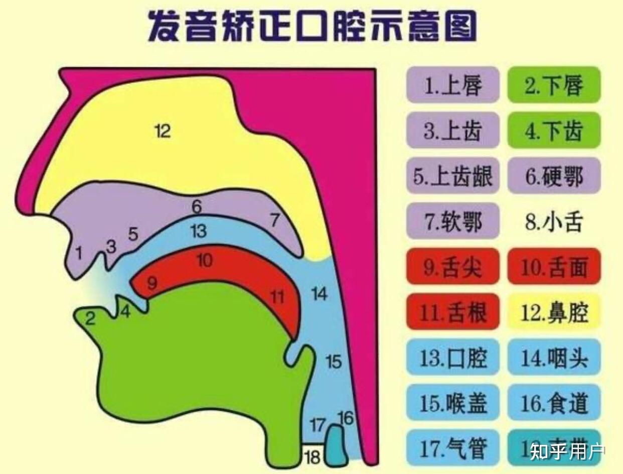 ze，ce，se，re和zi，ci，si，ri怎么区别呢，总是感觉一样?? - 知乎