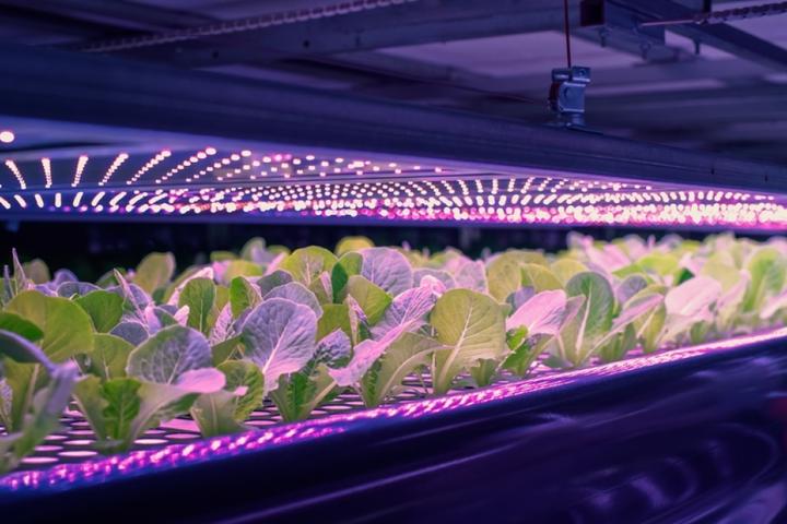 Luminus推出新型高性能 UV-A LED - 知乎