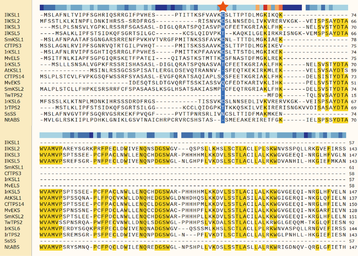 SnapGene-Align Sequences-同源比对 - 知乎