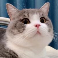 DeepDTAF模型详解 - 知乎