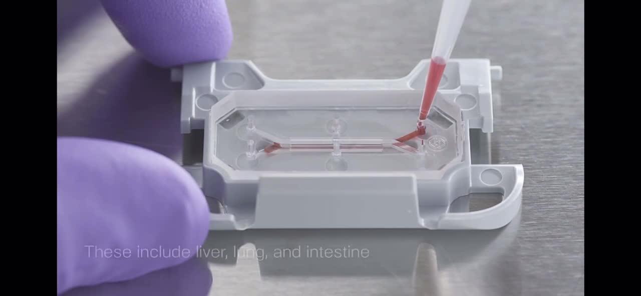 产品解析第17期：The Human Emulation System®人体仿真系统 - 知乎