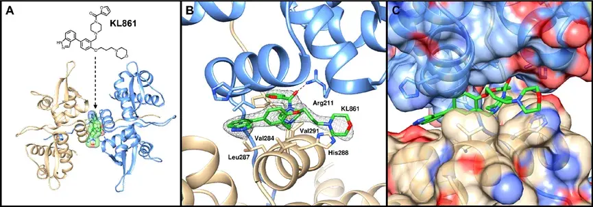 DEL Insight | DEL助力发现E3连接酶衔接体蛋白MAGE-A3配体和PROTAC - 知乎