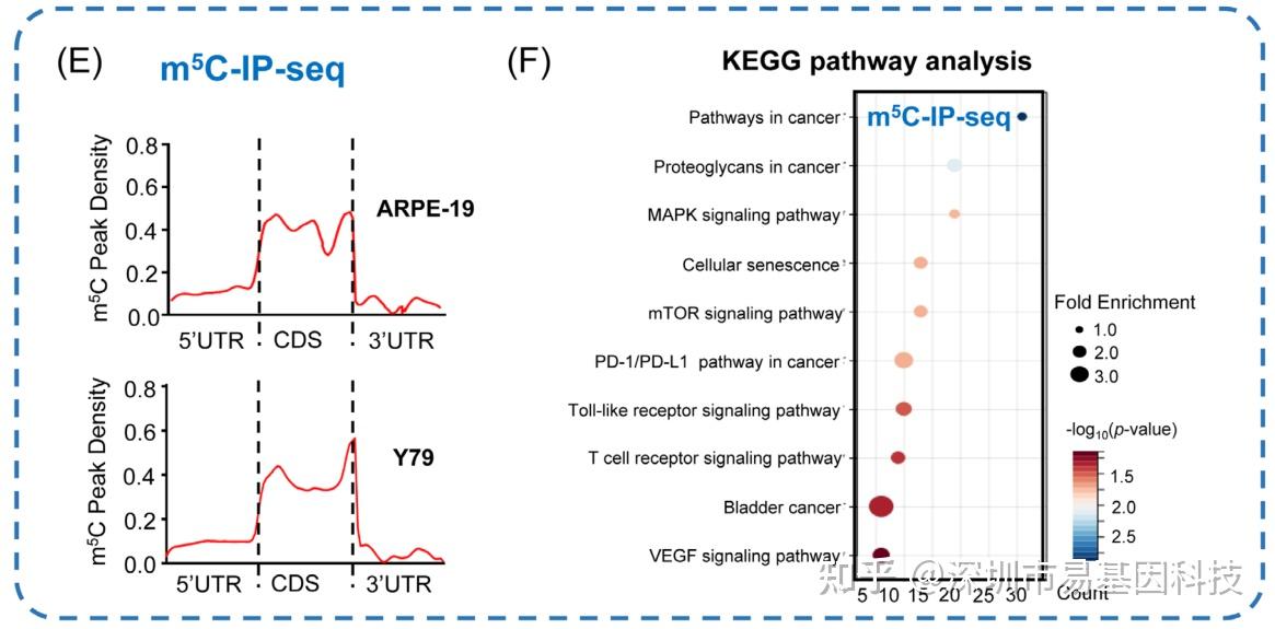 易基因：m5C RNA甲基化测序（m5C MeRIP-seq） - 知乎