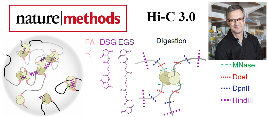 重磅升级丨Hi-C技术发明人Job Dekker发布高精度Hi-C 3.0技术 - 知乎