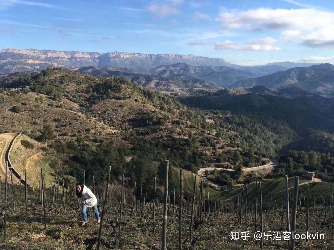 专访Diana Han | 在负责西班牙酒推广项目时，一个report写上百页 - 知乎