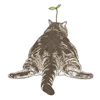 windows10使用wsl2直接运行openwrt并添加桥接网卡投入实际使用 - 知乎