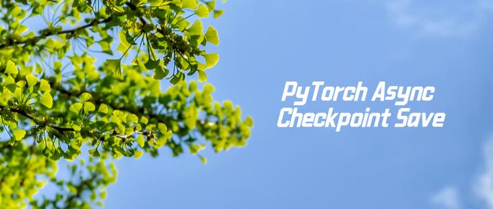 【PyTorch 奇淫技巧】Async Checkpoint Save - 知乎