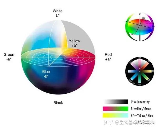 Lab 色彩模型以及Lab值代表的含义 - 知乎