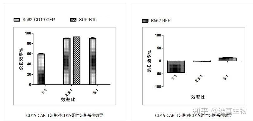 如何构建CAR-T细胞? - 知乎