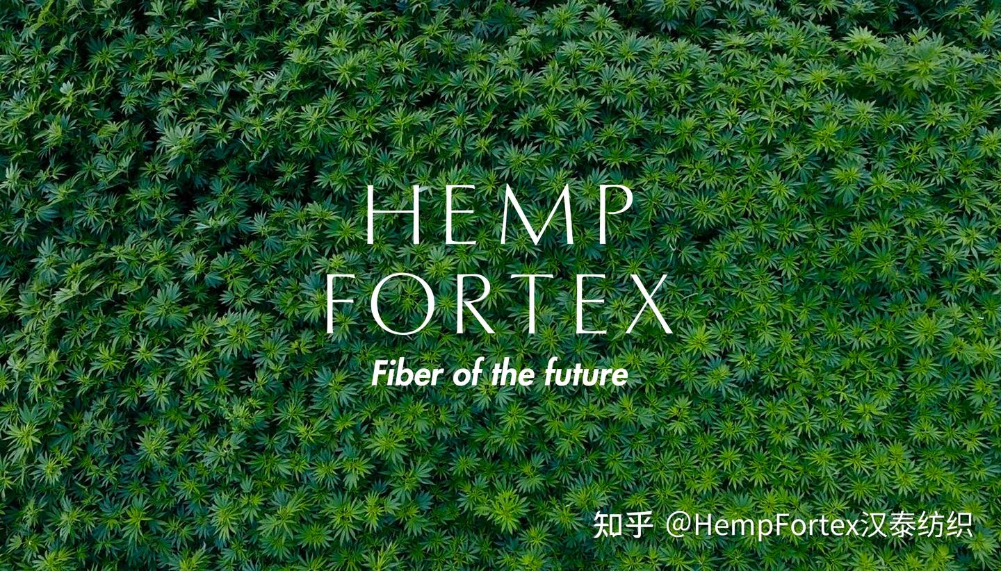 HEMP FORTEX 汉泰纺织 - 知乎