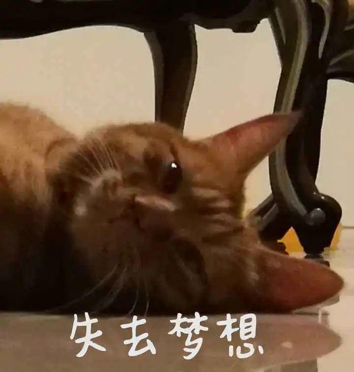 哭了！UCL首次发布中国大学认可名单！985/211却只能在C组？ - 知乎