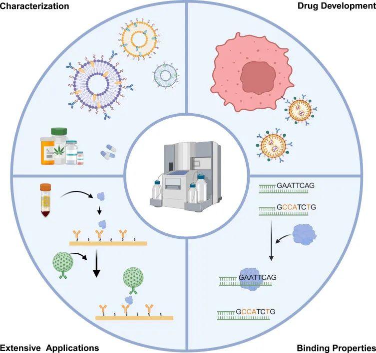 一文读懂：SPR技术 - 知乎