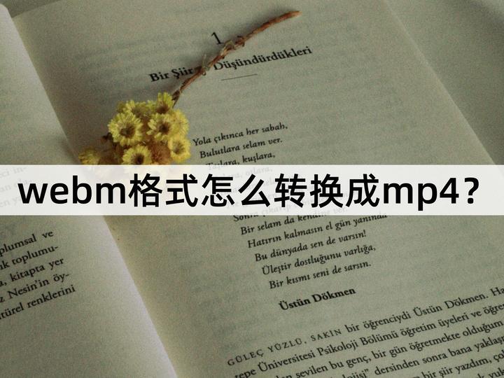 webm格式怎么转换成mp4？你必须要知道的2个方法！ - 知乎