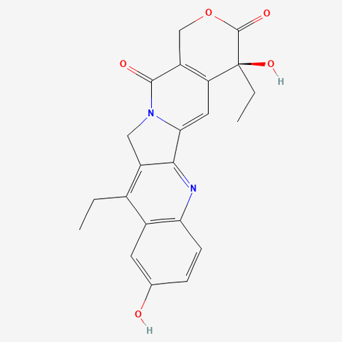 SN 38；DNA拓扑异构酶I抑制剂 - 知乎