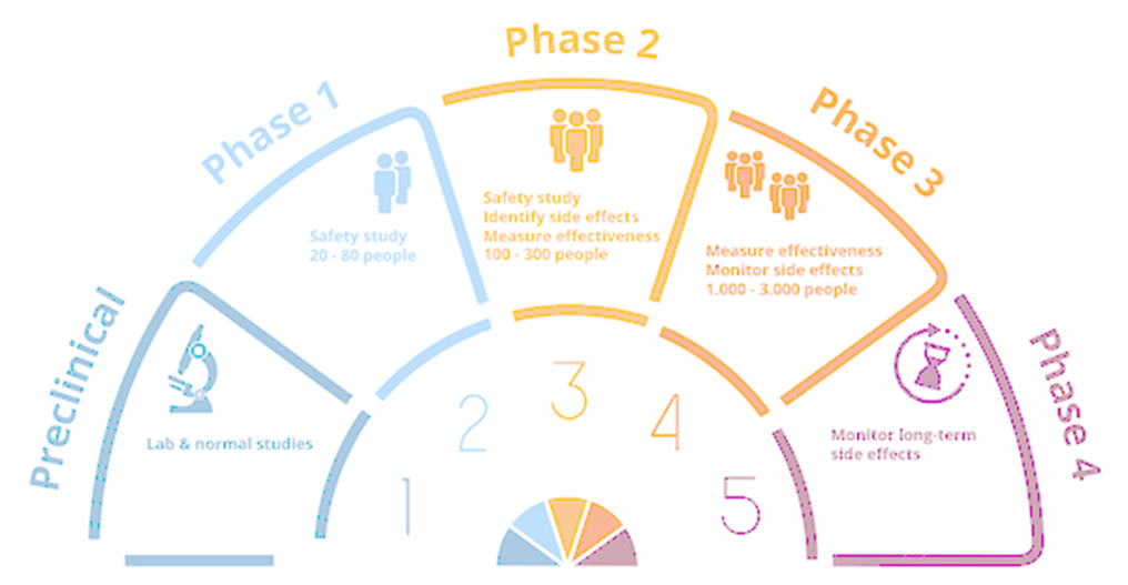 【干货】新药研发到上市全流程+流程图 - 知乎