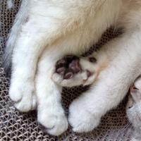 SciProfiles：学术档案 - 知乎