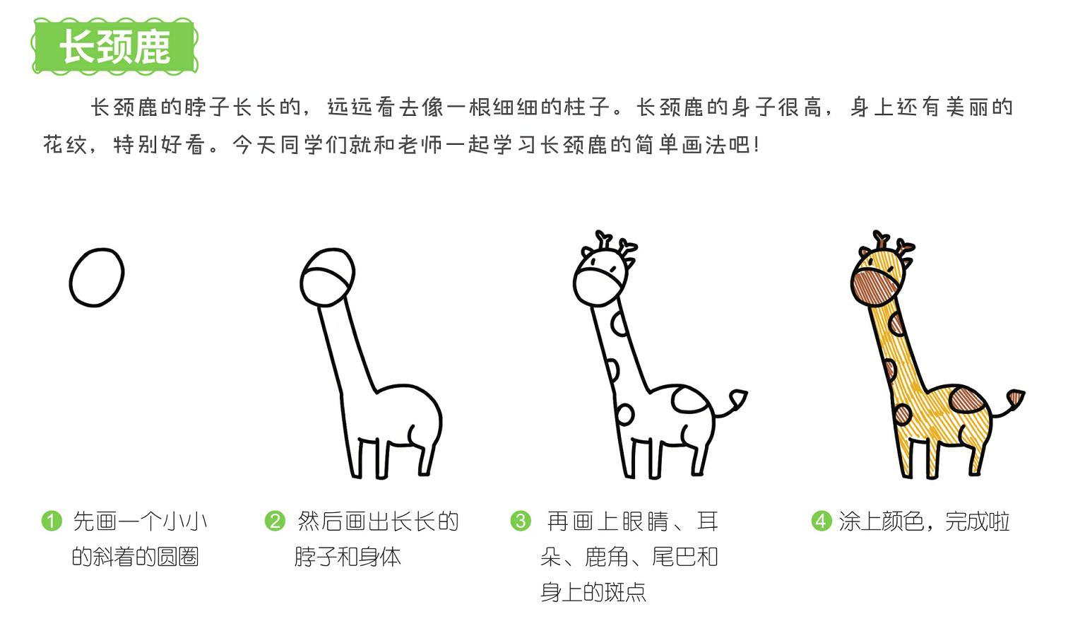 如何零基础自学简笔画？ - 知乎