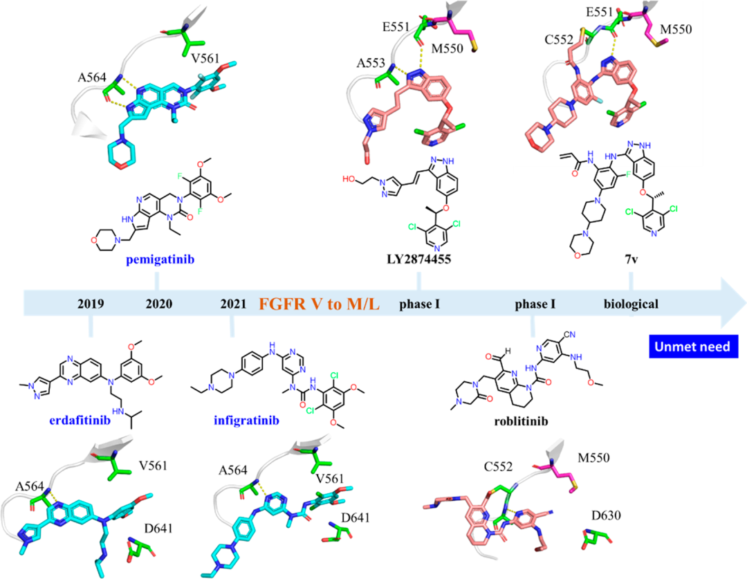 综述分享 | 关于激酶gatekeeper突变的种种 - 知乎